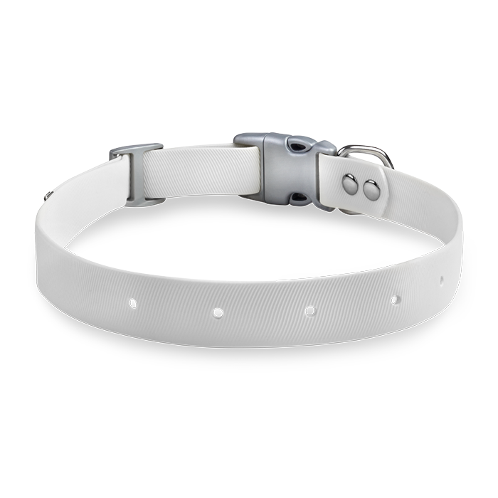 Collar Strap - Halo with Cesar Millan