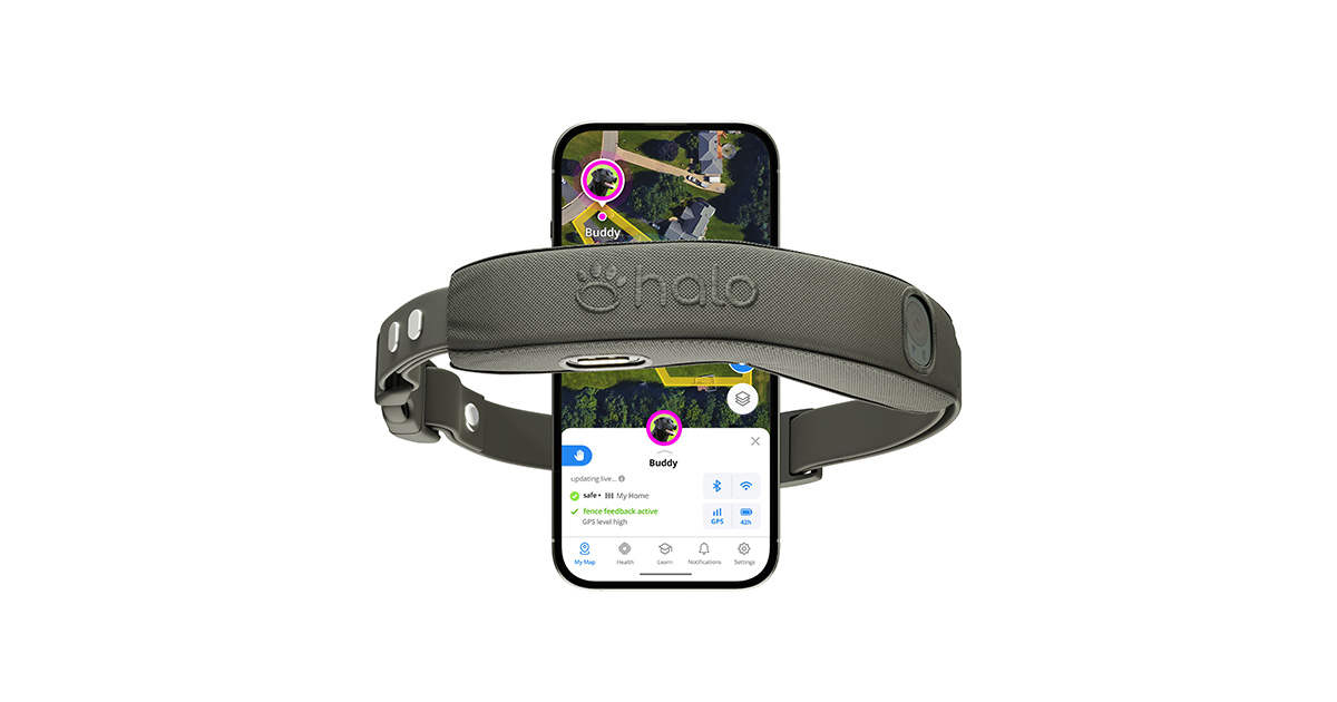 Shop Halo Collar Accessories | Halo Collar